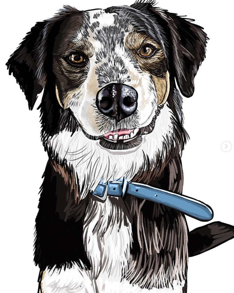 Art by Madicat Custom Home Art and Gifts from New Orleans – Art By Madicat